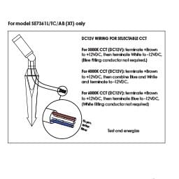 MINI SPIKE DZINE - SAL